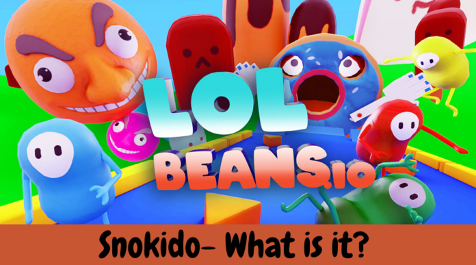 Snokido - Things you need to know before playing games here