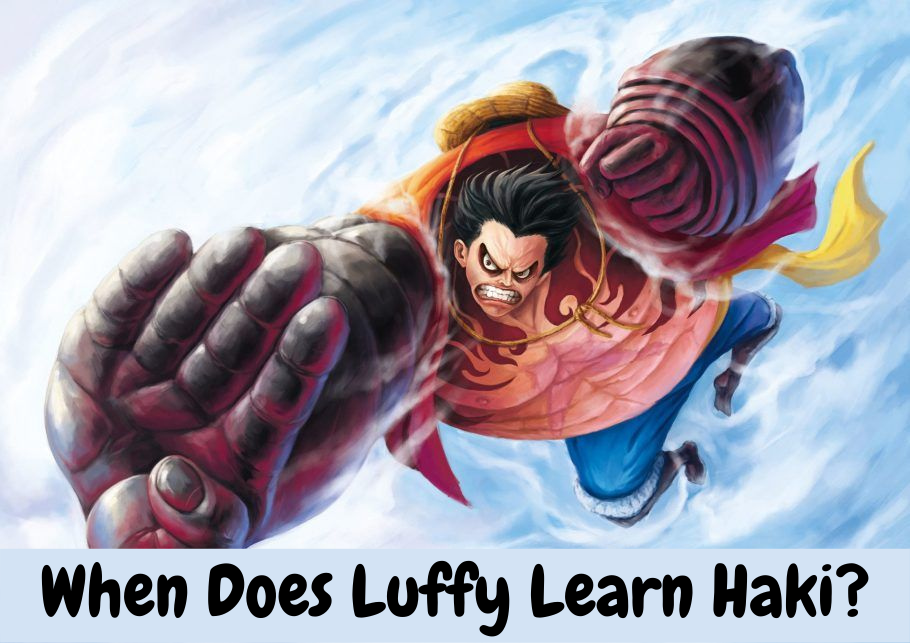 When Does Luffy Learn Haki?