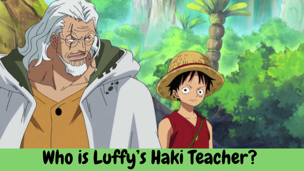 When Does Luffy Learn Haki?